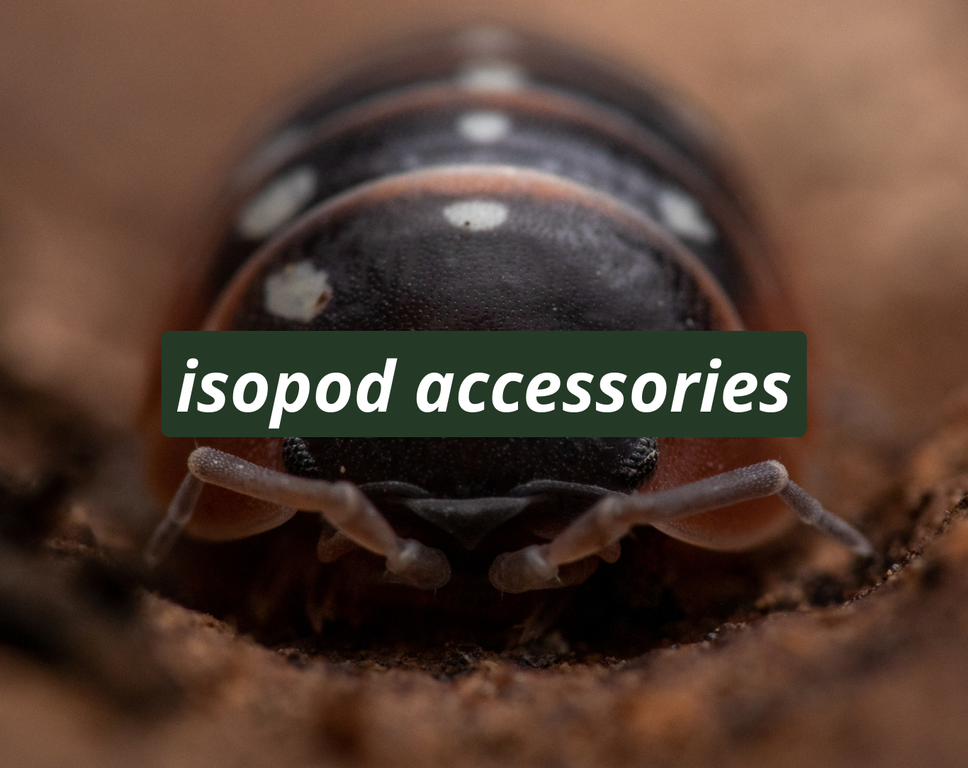isopod accessories – Peeters Reptiles